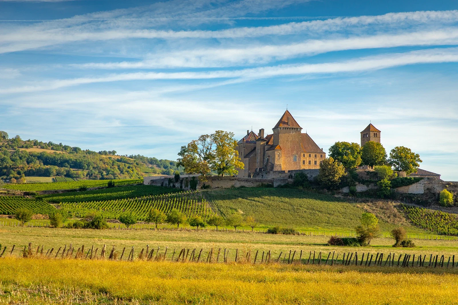 27 Reasons to Love Mâcon Wines: Exploring the Terroir of Each Denomination