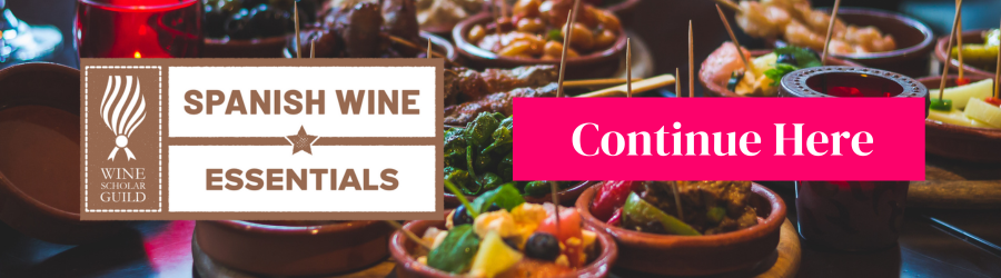 How to Pair Spanish Tapas and Wine